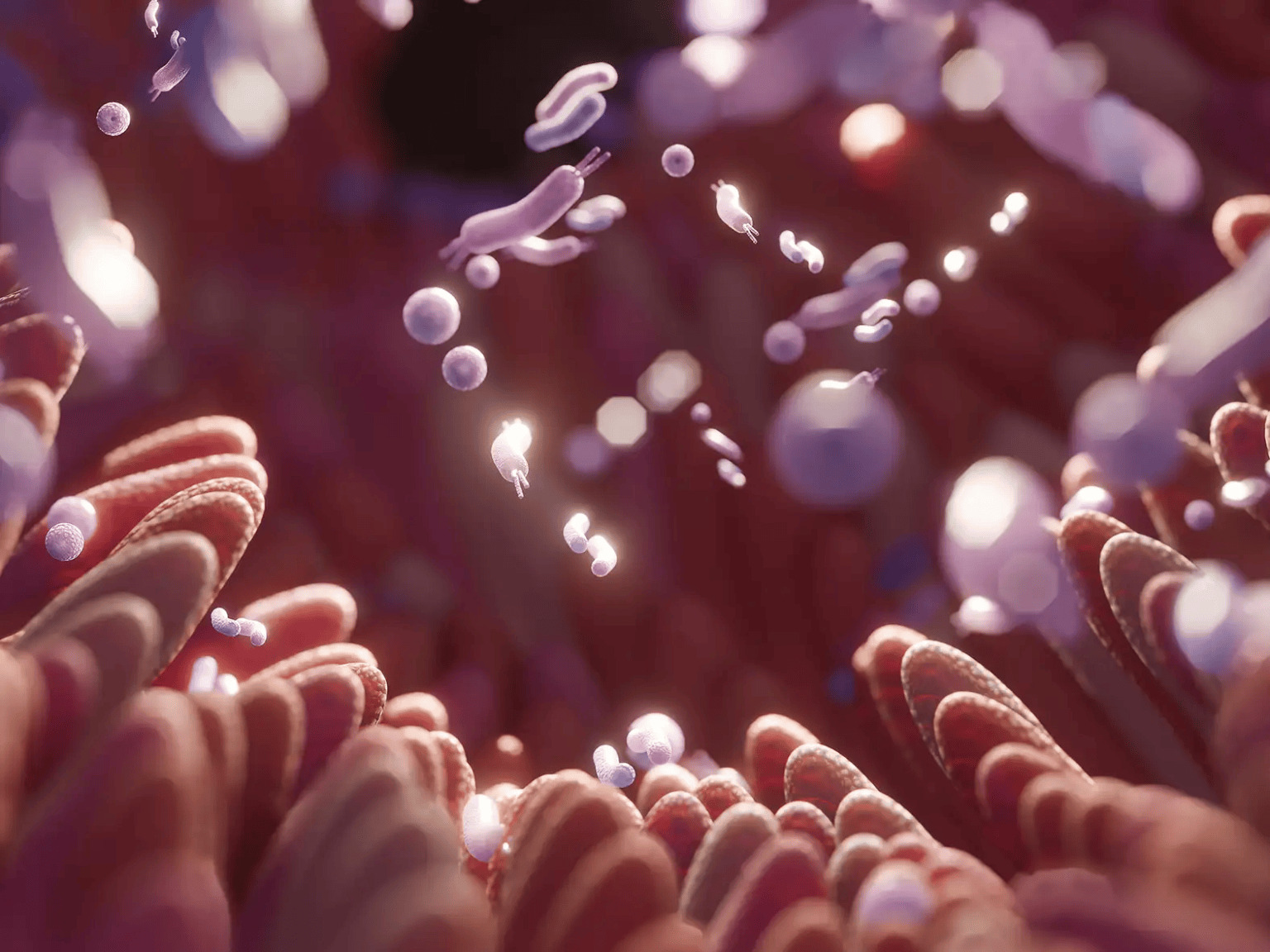 ¿Por qué la flora intestinal de tu perro se descontrola? - Gosbi Pet Food